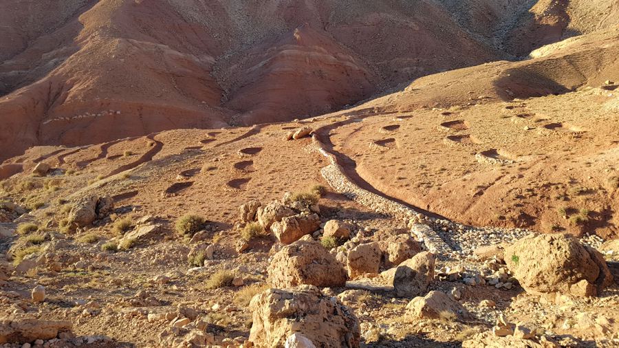 Earth Restoration in Morocco - Global Earth Repair Foundation