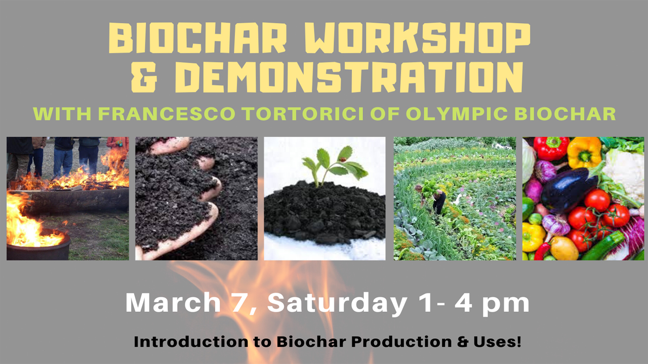 Biochar Workshop & Demonstration - with Francesco Tortorici of Olympic ...