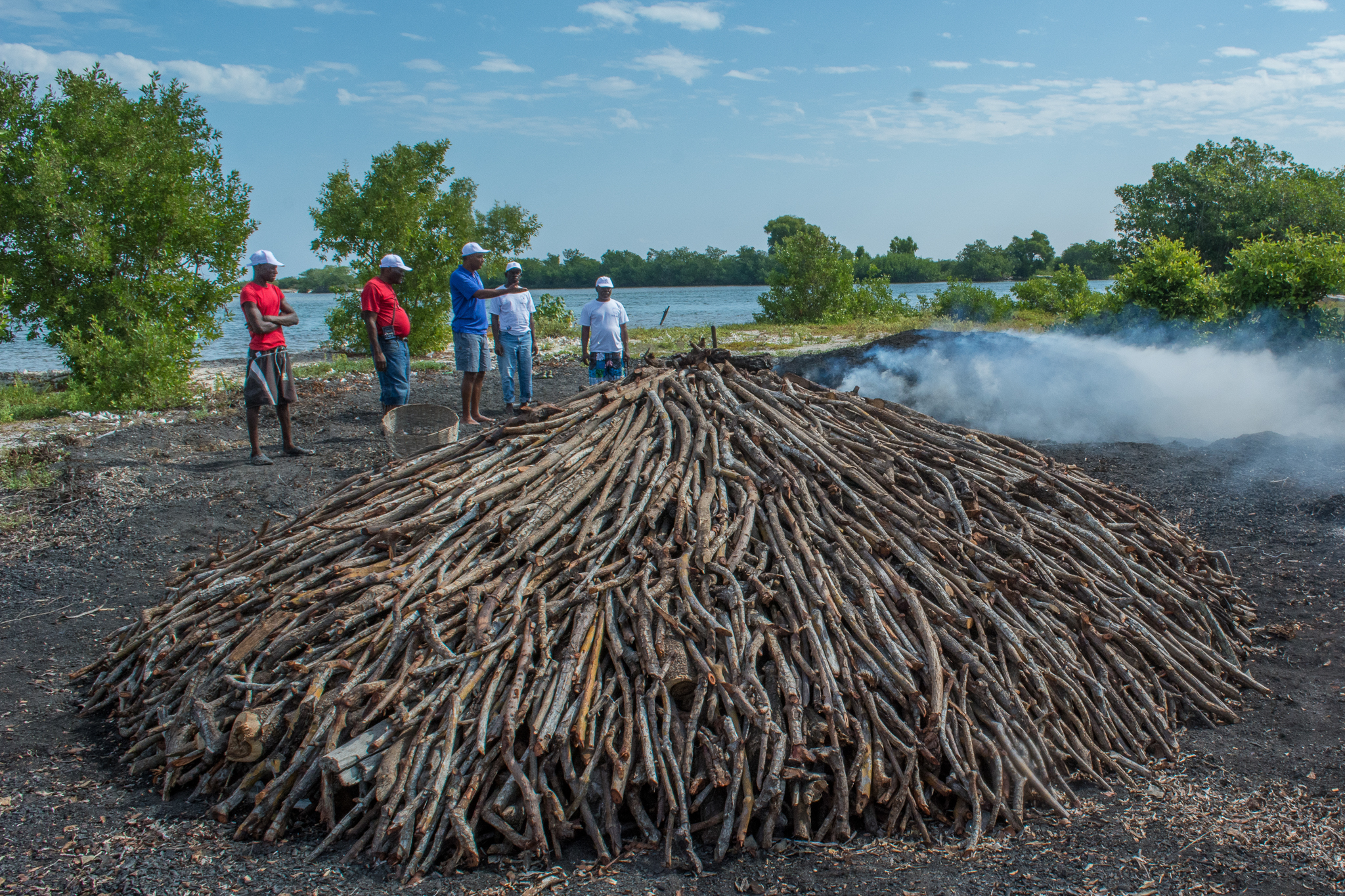 Jean Wiener - Global Earth Repair Foundation