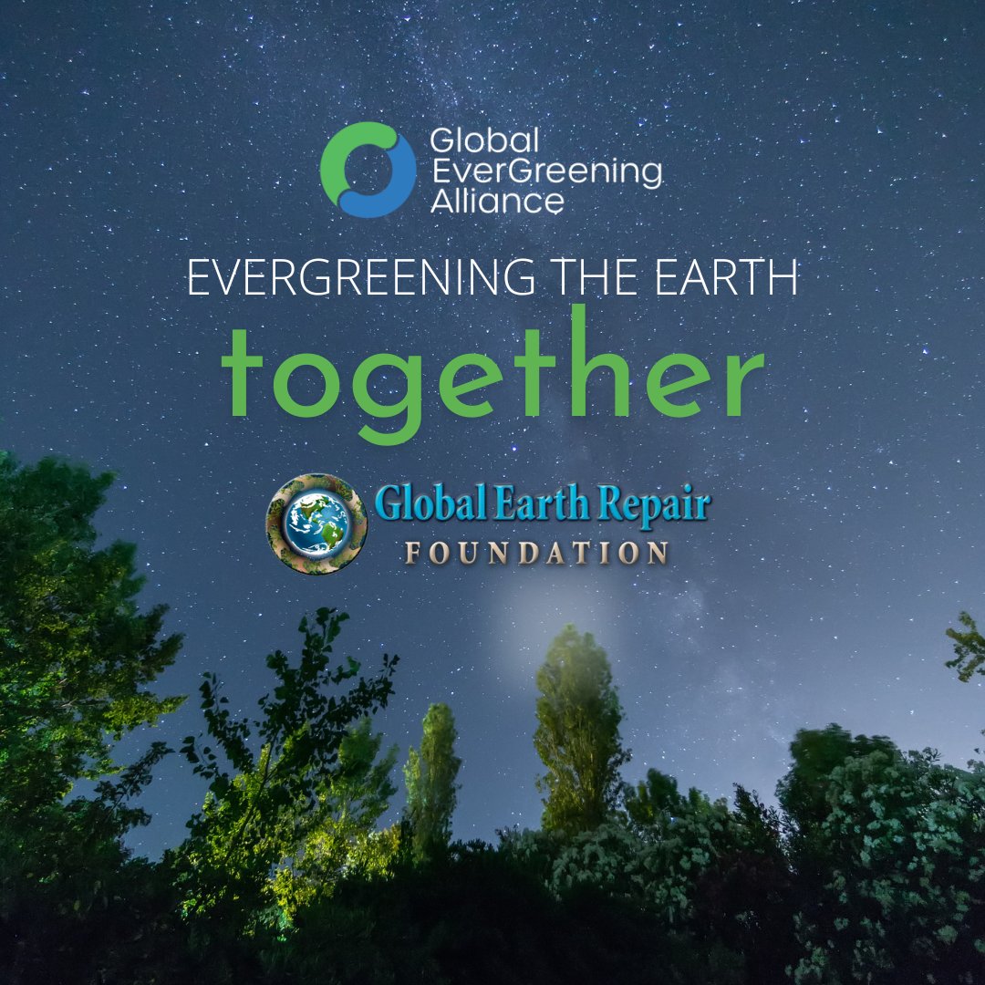Partnering with the Global EverGreening Alliance - Global Earth Repair ... Partnering with the Global EverGreening Alliance - Global Earth Repair ...