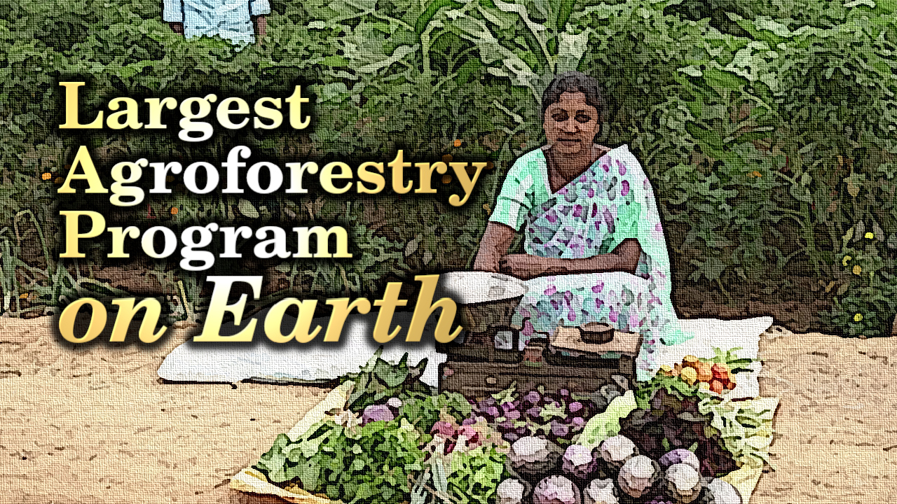 The Largest Agroecology Program on Earth - the Andhra Pradesh Community ...