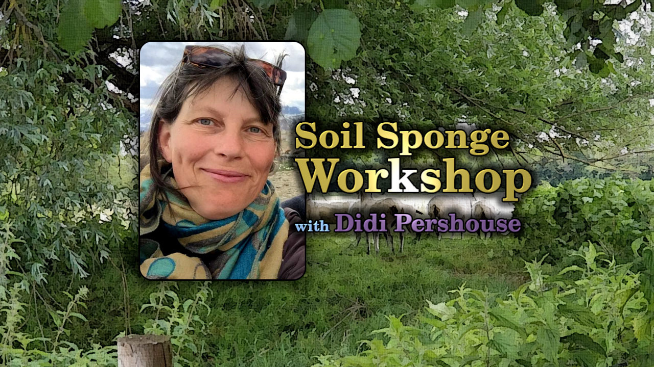 Growing Resilience to Floods, Fire, and Drought - A Soil Sponge ...