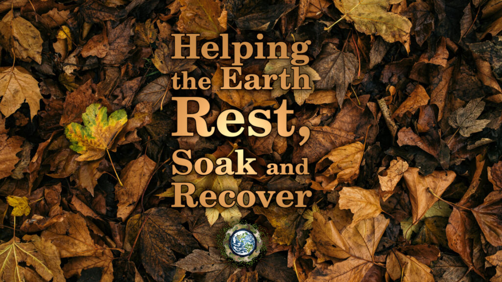 How to Do Earth Repair in the Fall - Ecosystem Restoration Edition ...