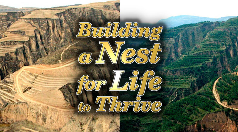 Picking Up the Pieces of a Broken World: The Holistic Hardware of Earth ...