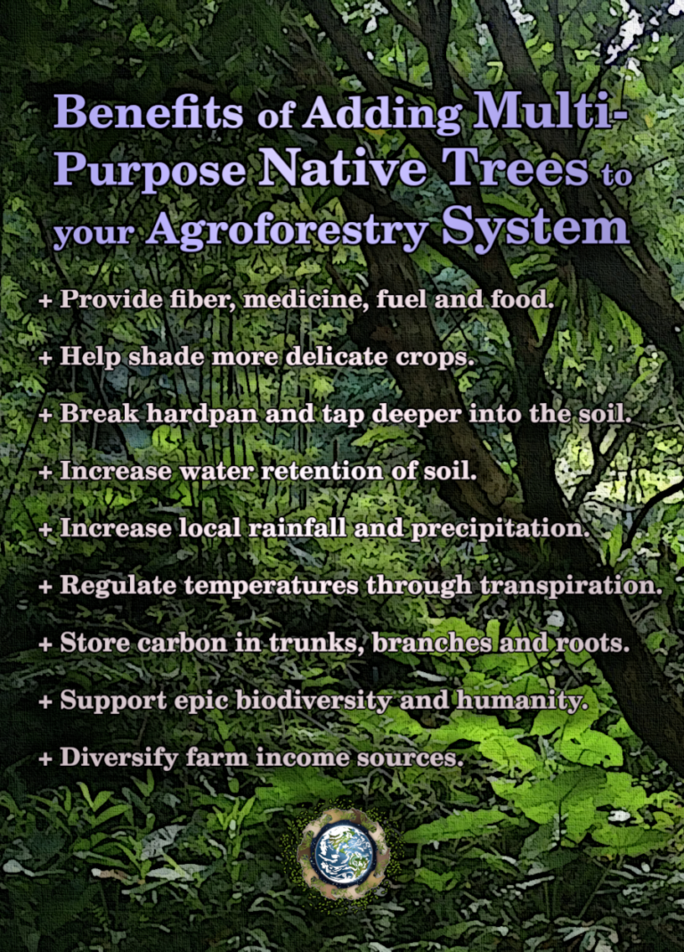Living with the Trees of Life - how Native, Multi-Purpose Trees can ...